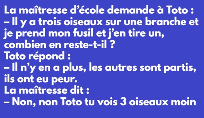 Blague : Toto et les façons de penser